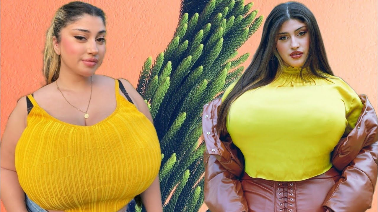 Yuval Levy Biogrpahy, Age, Height, Body Measurement, Net Worth | Plus ...