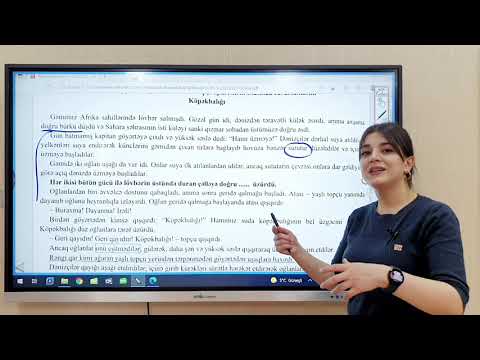 Azərbaycan dili. Abituriyent jurnalı 2022. Mətn tapşırıqları modeli (\