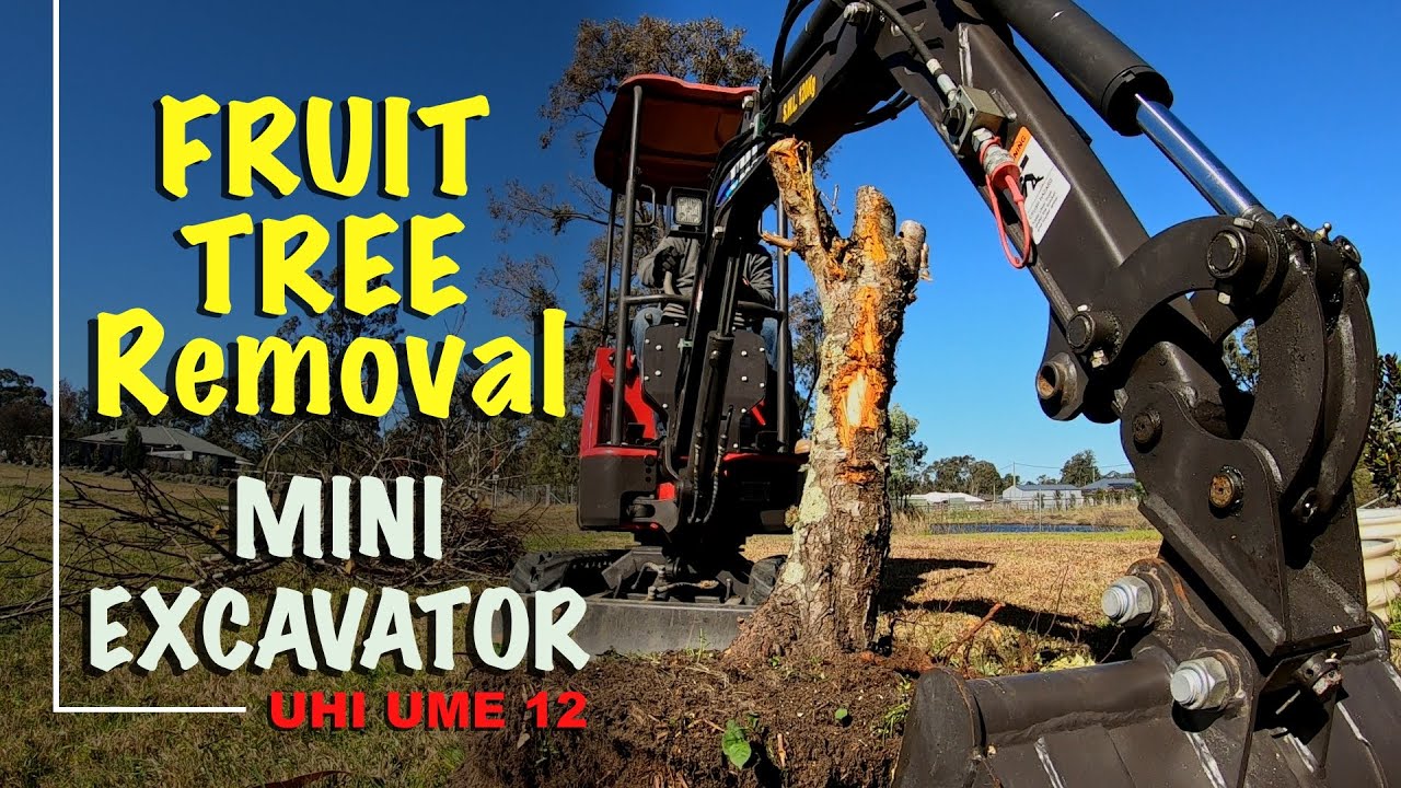 Mini Excavator_Pulling up Fruit Trees #UHI #miniexcavator - YouTube