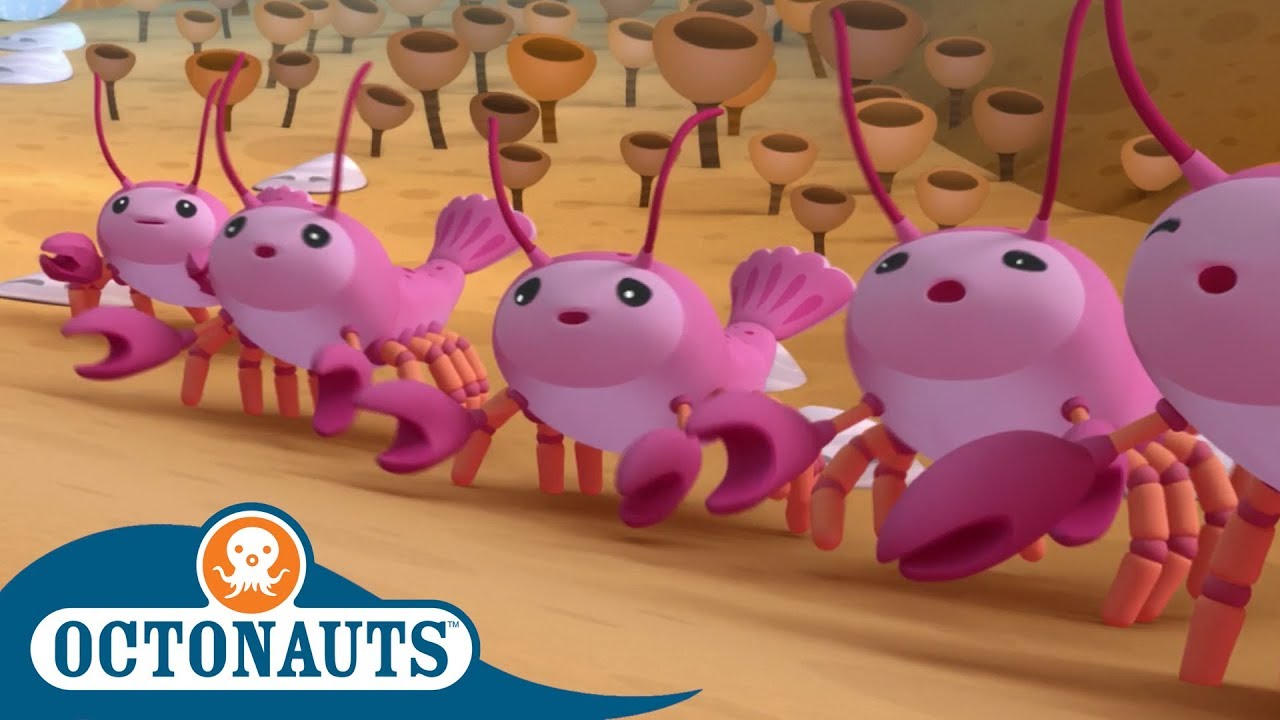 Octonauts - Lobsters On the Move | Compilation | Cartoons for Kids ...