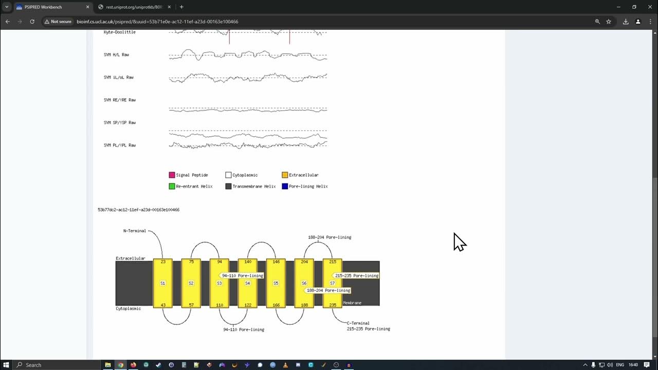 MEMSAT-SVM Tutorial - YouTube