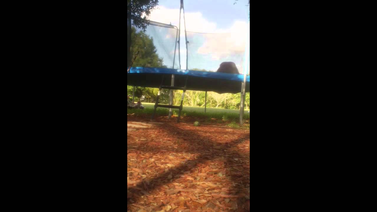 Heathers daily vlogs Trampoline tricks - YouTube