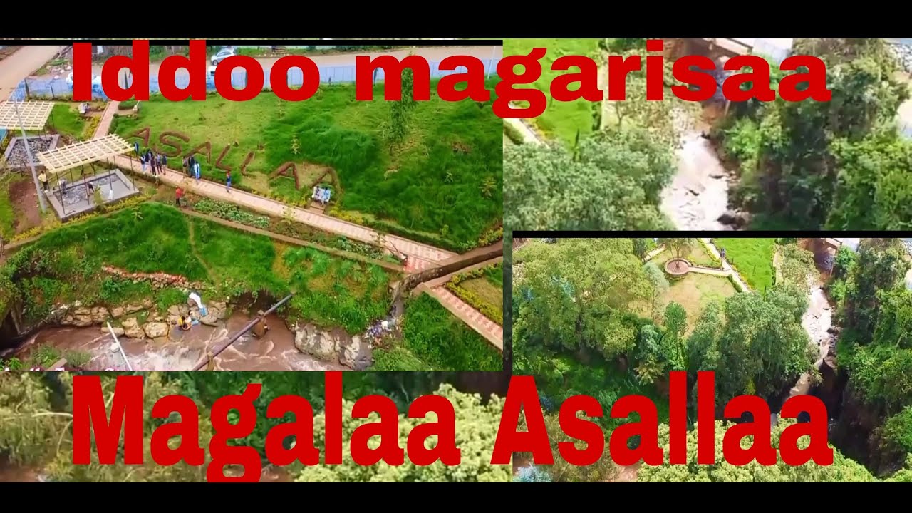 Asala Twon Green area, Magalaa Asallattii bakka Magarisummaa Fi hawata ...