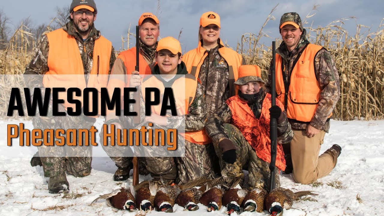 AWESOME PA Pheasant Hunting - YouTube