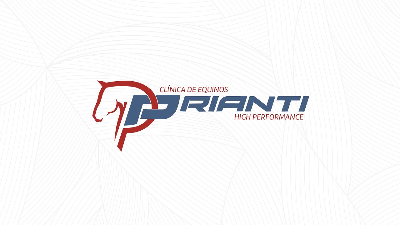 Ultrassonografia da pelve na prática - Clínica de Equinos Prianti - YouTube