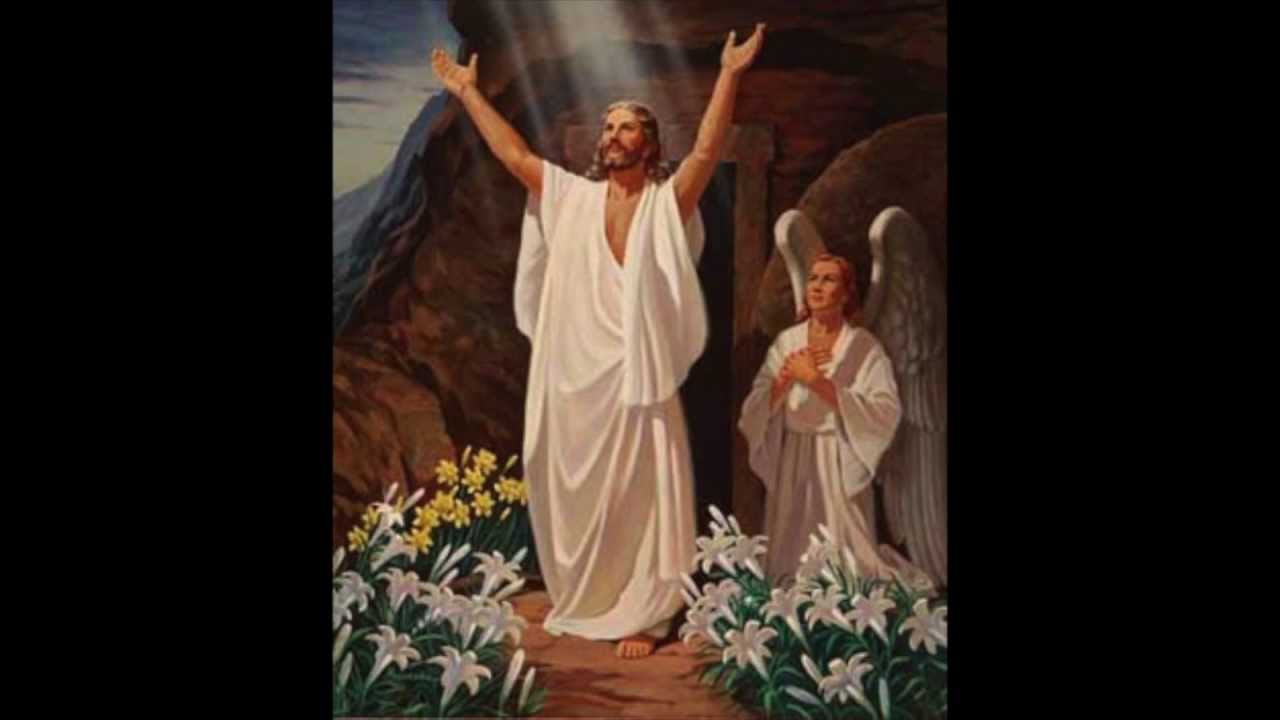 Daniel Rae Costello, King of Kings (Christian World/Reggae) - YouTube