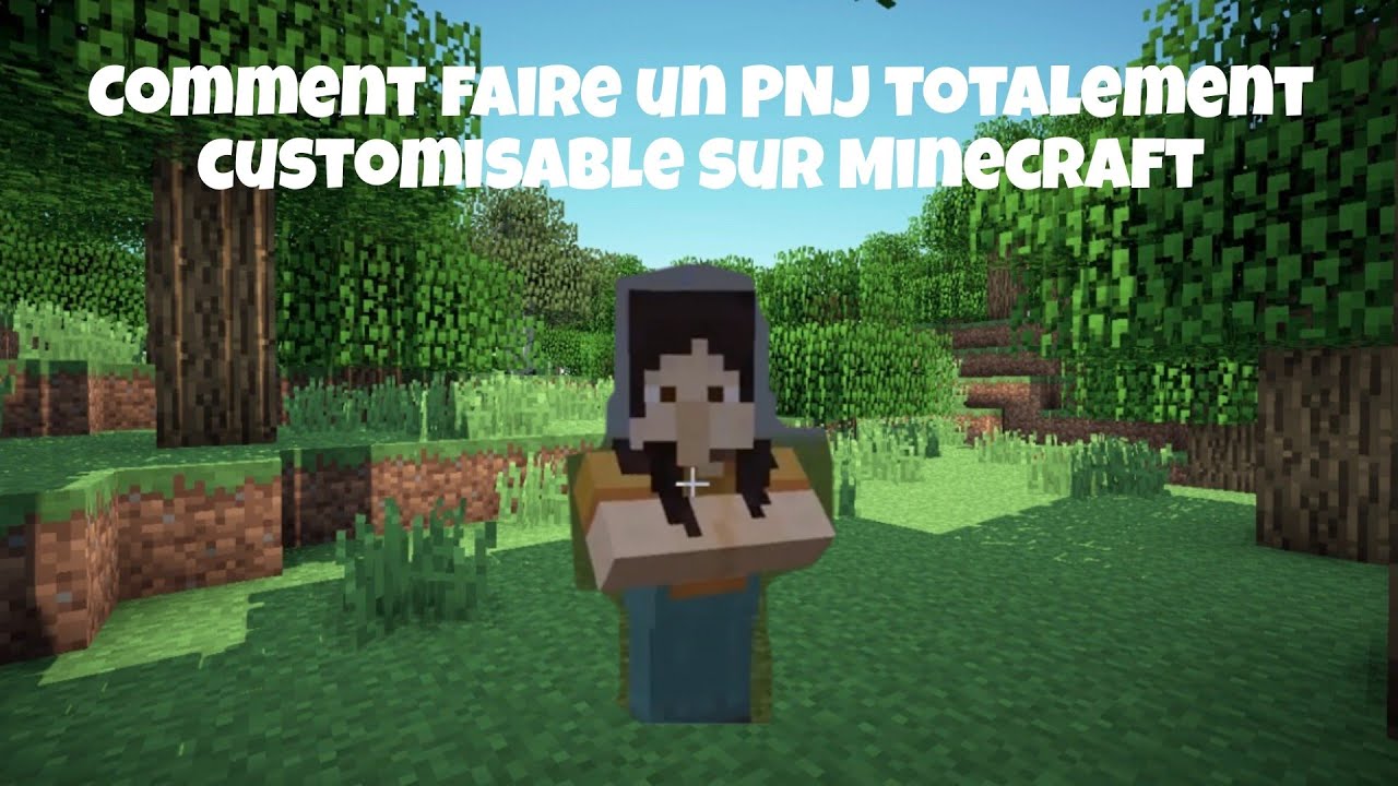 Comment faire un PNJ totalement customisable sur Minecraft - YouTube