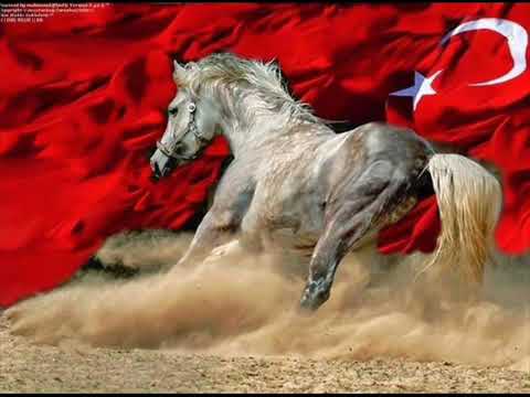 Aziz Kutluay  Hz. Ali (r.a) in hayatı süper vaaz