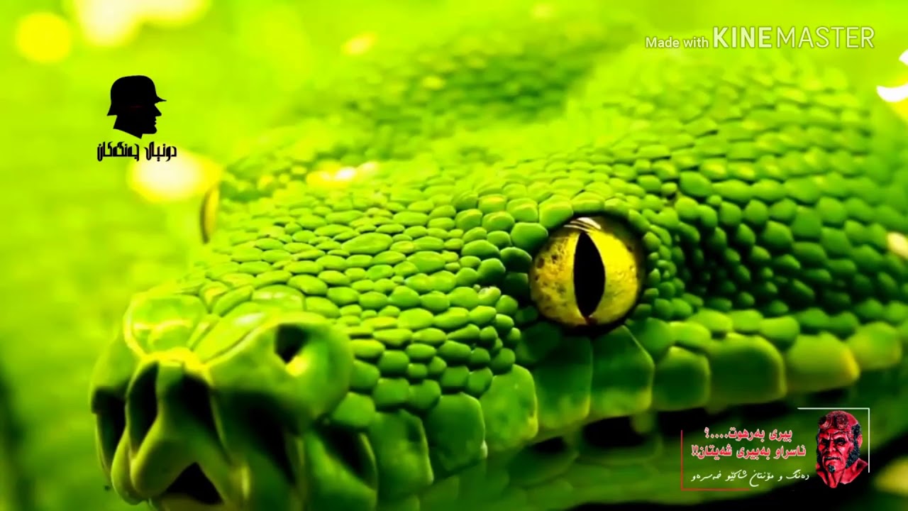 saraw 18 nabe saere bka - YouTube