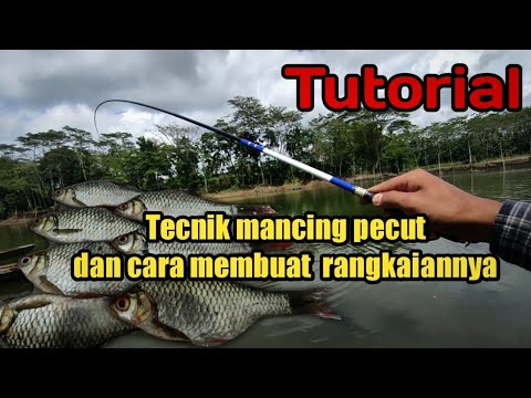 tutorial lengkap cara mancing tehnik pecut‼️cara jitu mancing ikan Bader @masmukidi1223 - YouTube