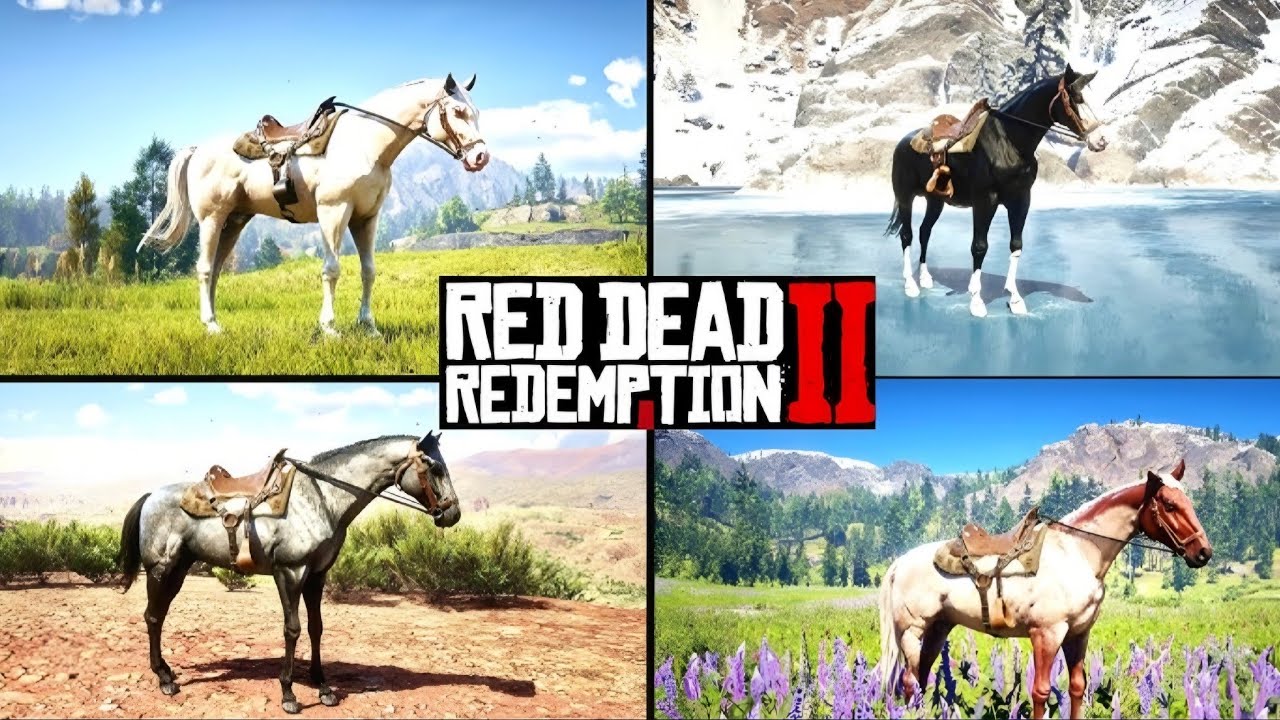 All Gang Members’ Horses in Red Dead Redemption 2 - YouTube