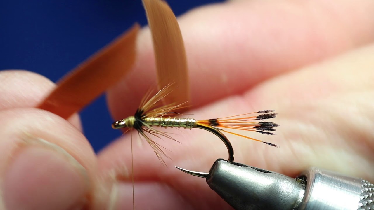 Cinnamon & Gold (Traditional Wet) New HD Video 2020 - YouTube