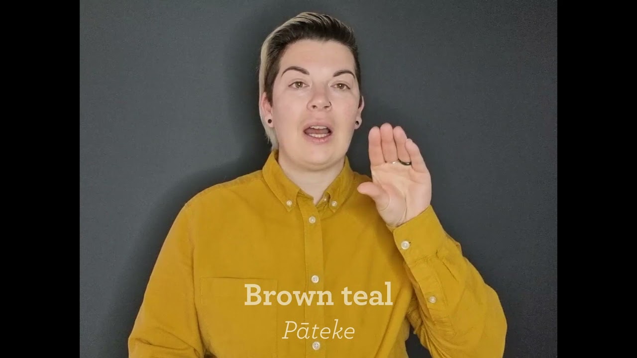 New Zealand sign language - brown teal - YouTube