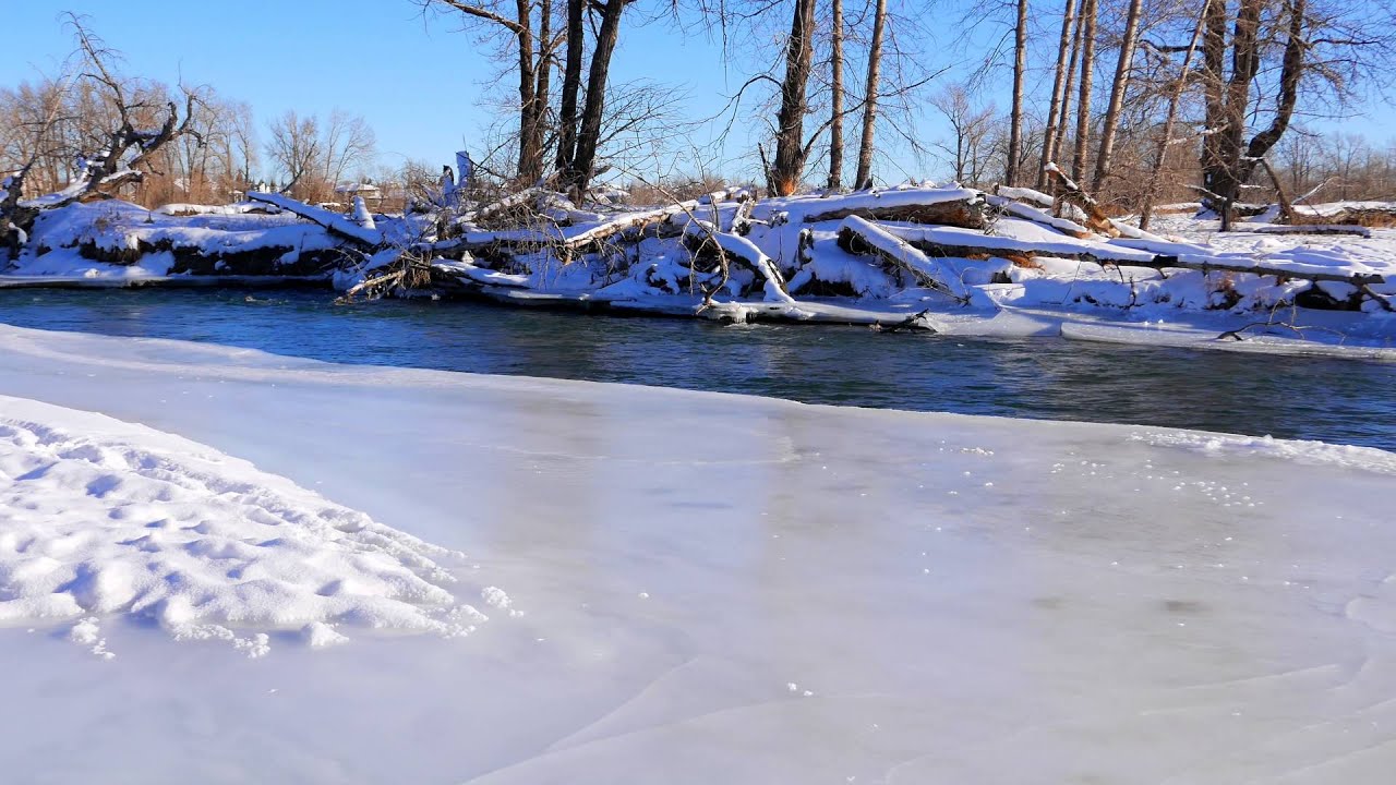 Chinook Winds in Calgary - YouTube