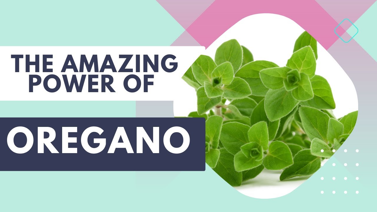 The Science Behind the Health Benefits of Oregano - YouTube