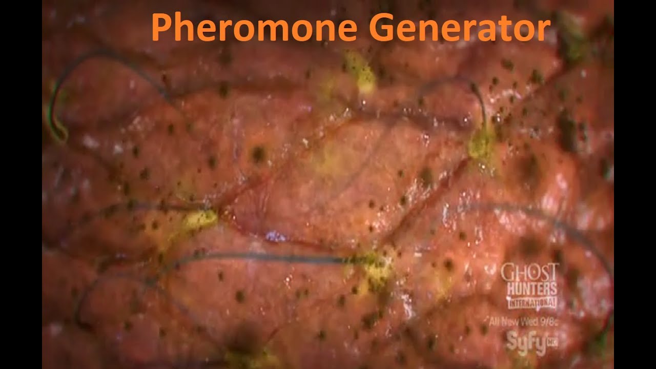Alphas Powers Pheromone Generator - YouTube