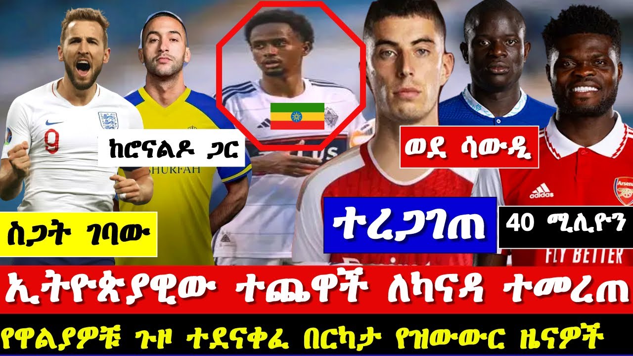 የዛሬ የስፖርት ዜና እና የዝውውር መረጃዎች 2023 | Ethiopian sports transfer news today ...