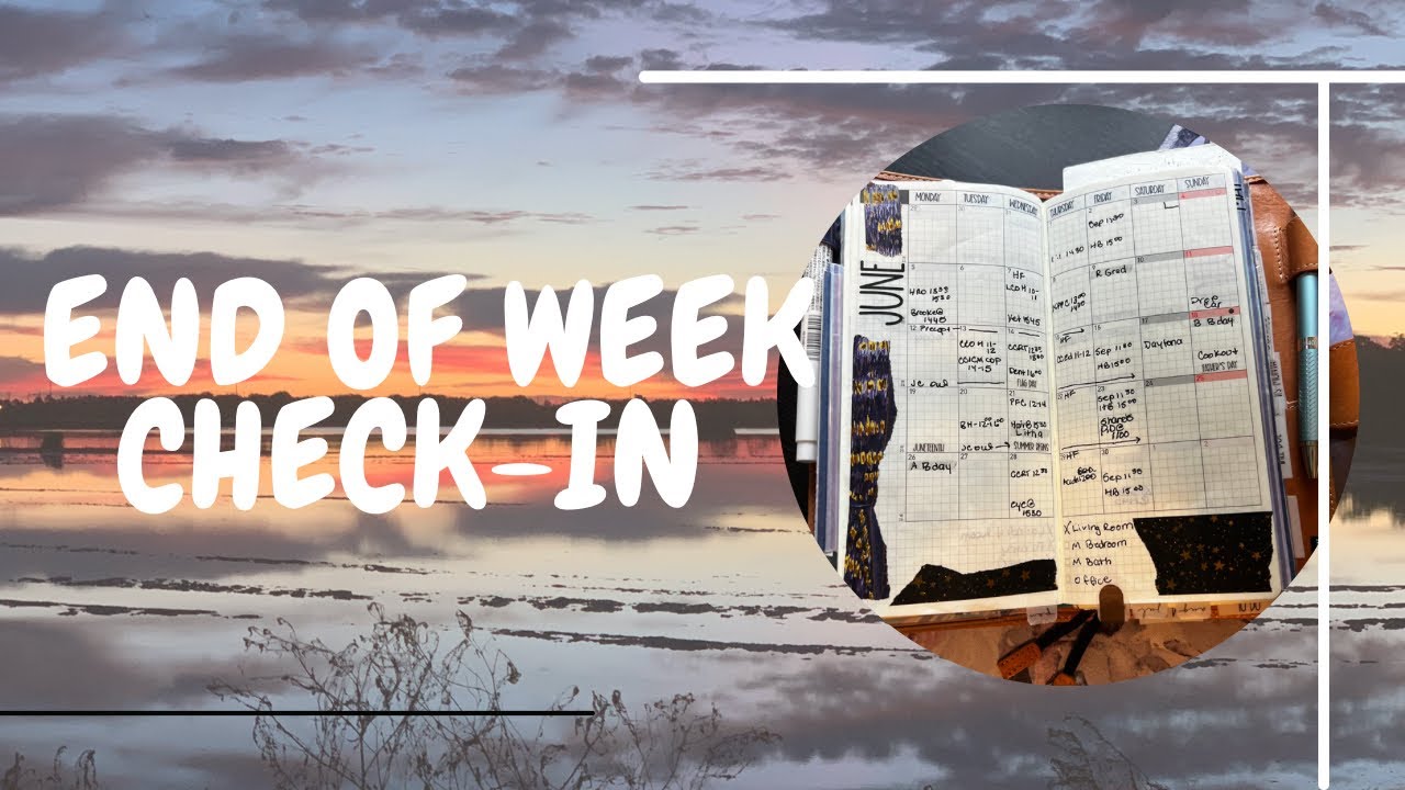 End of week check in| June2023 | Hobonichi weeks mega| Bullet journal ...