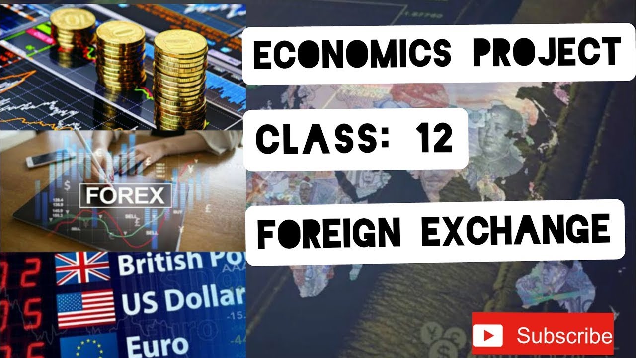 Economics project on Foreign Exchange || class:12 || cbse - YouTube