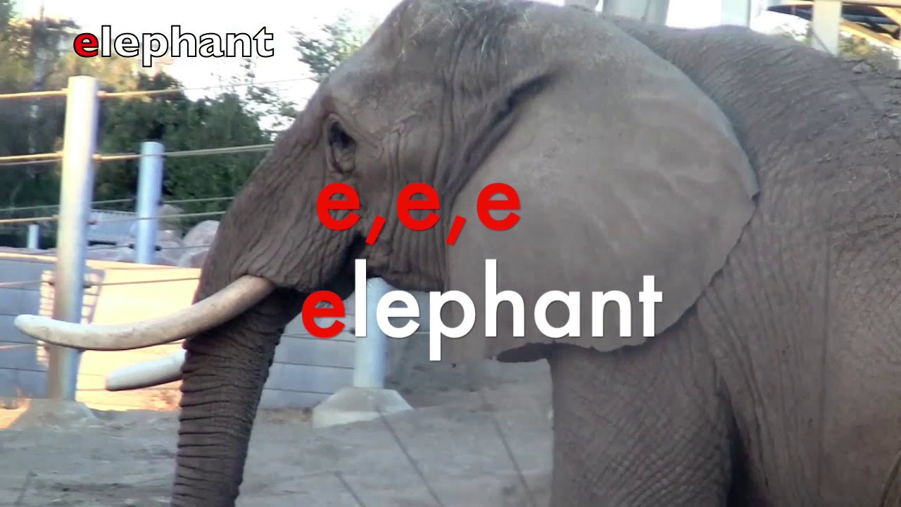 FUN SHORT VOWEL PHONICS (aeiou) with ZOO & FARM ANIMALS - HOMESCHOOL ...