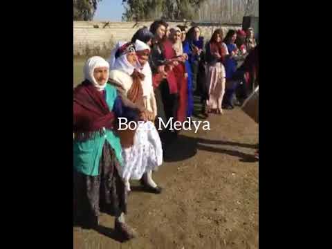Kürt düğünleride bir başka oluyor yaşlı nineler ortalığı yıkıyor resmen gençlere taş çıkarıyor Iğdır
