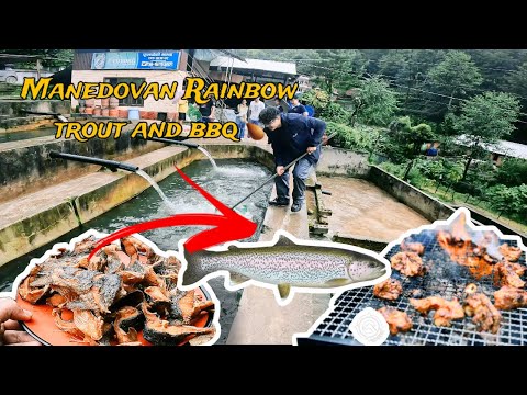 Trout fish near by Kathmandu ( Manedovan Rainbow trout 🐟and BBQ 🍗🍗🍗 ...