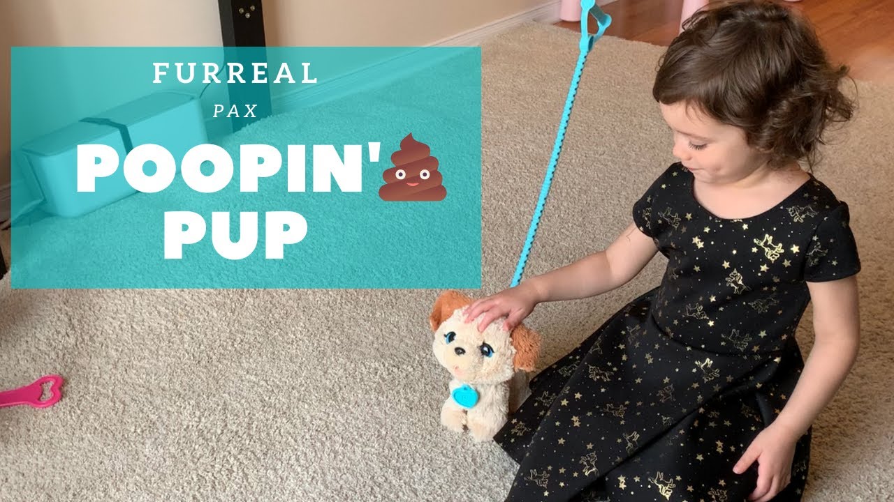 FurReal Friends Pax My Poopin Pup Plush Toy Review - YouTube