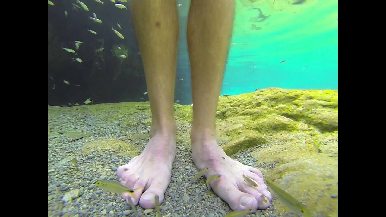 Creepy Fish Hands - YouTube