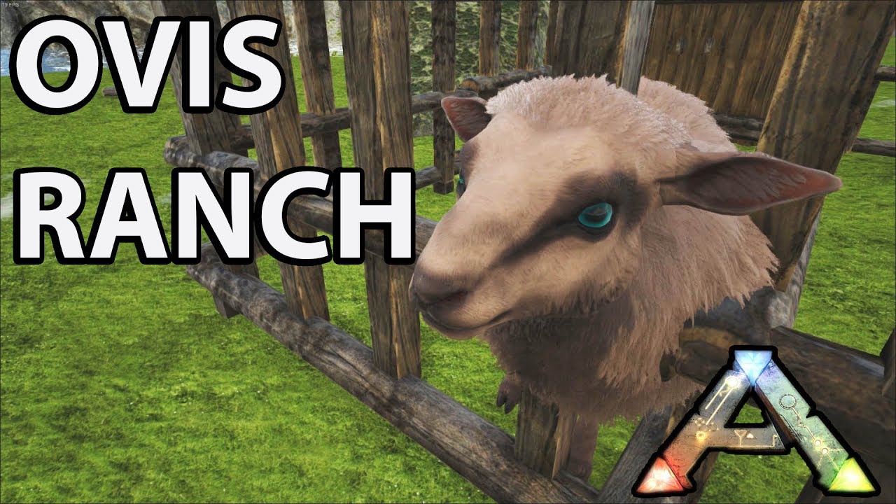 Ovis Ranch/ Sheep Farm: Ragnorak S1 EP3 - YouTube