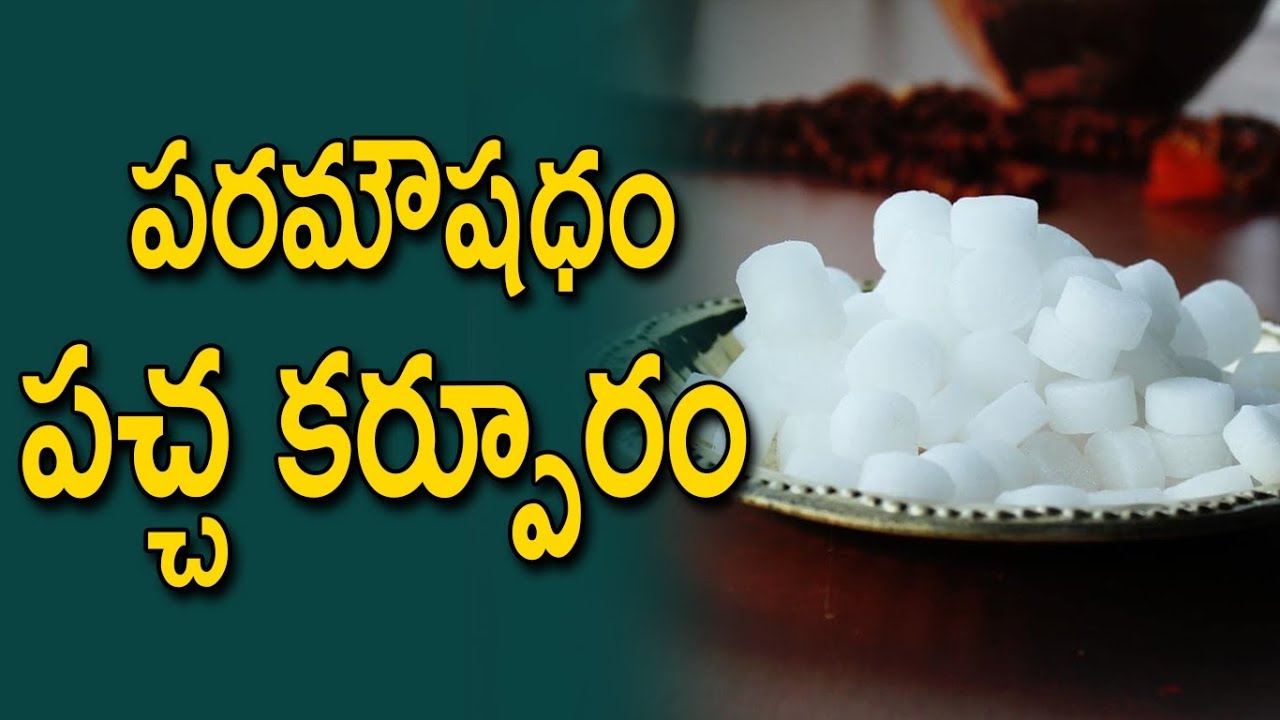 New Health Benefits of Camphor | Top Health Tips | PACHA KARPURAM ...
