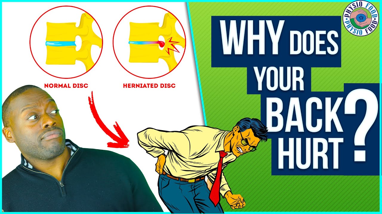 Why Does My Back Hurt? - YouTube