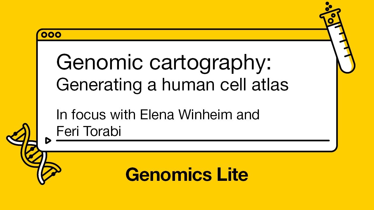 Genomics Lite: Genomic cartography - Generating a human cell atlas ...