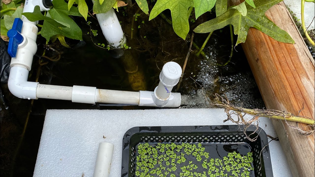 Adding Air To Your Pond | Venturi - YouTube