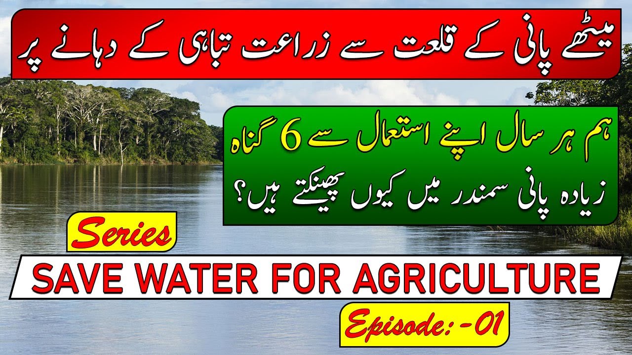 Climate change impact on agriculture| water shortage in Pakistan ...