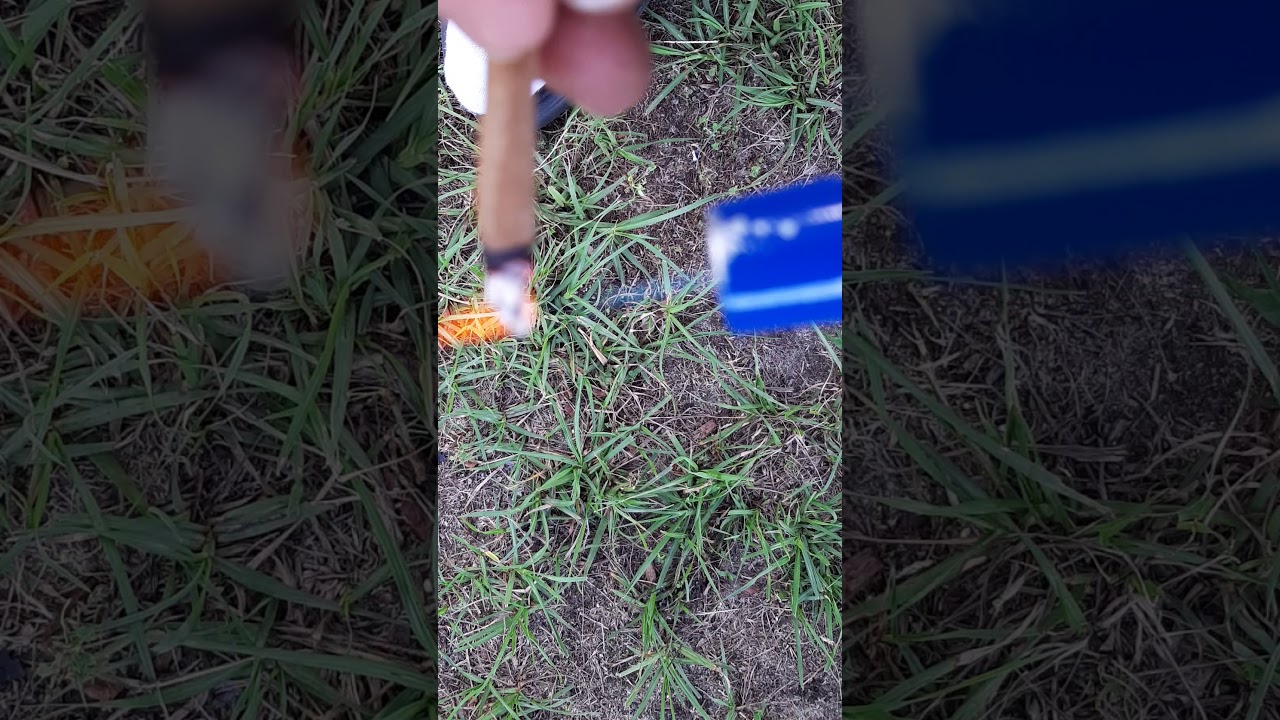 Hottest burning blunt ever!!!! - YouTube