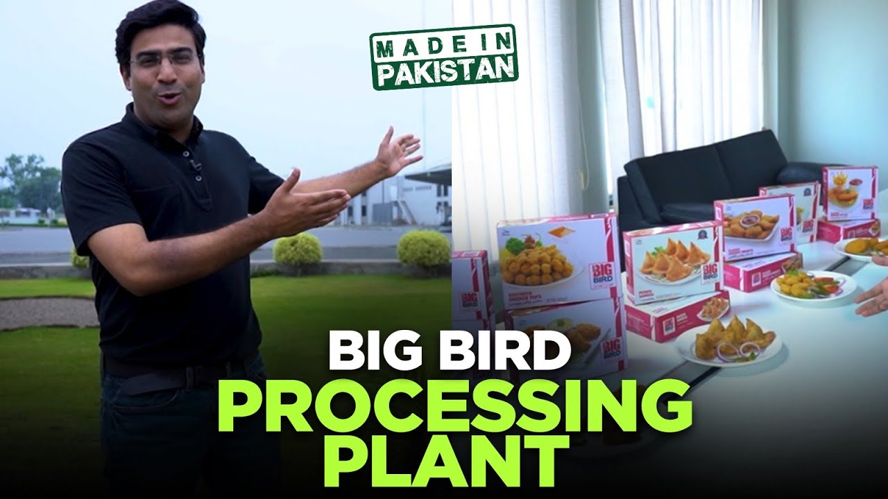 Big Bird Largest Frozen Chicken Foods Processing Plant | Made in ...