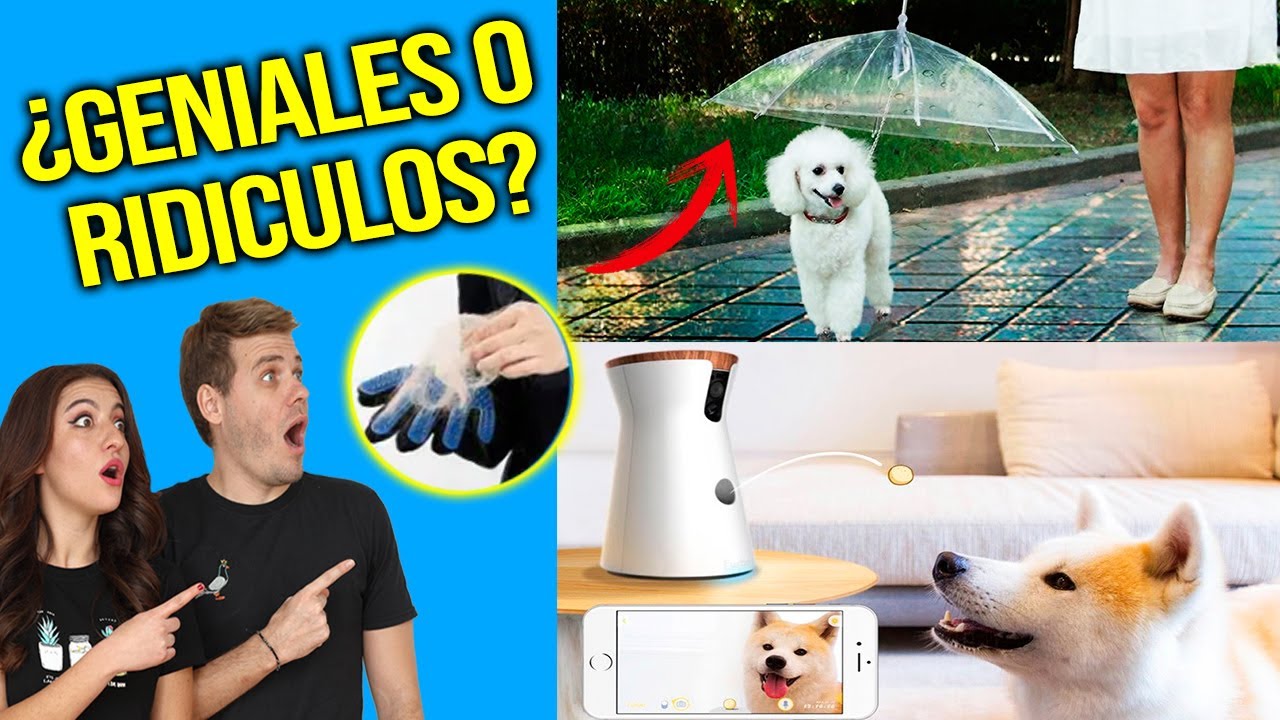 5 DIVERTIDOS GADGETS PARA PERRO // capitulo 2 // Pongamoslo a prueba ...