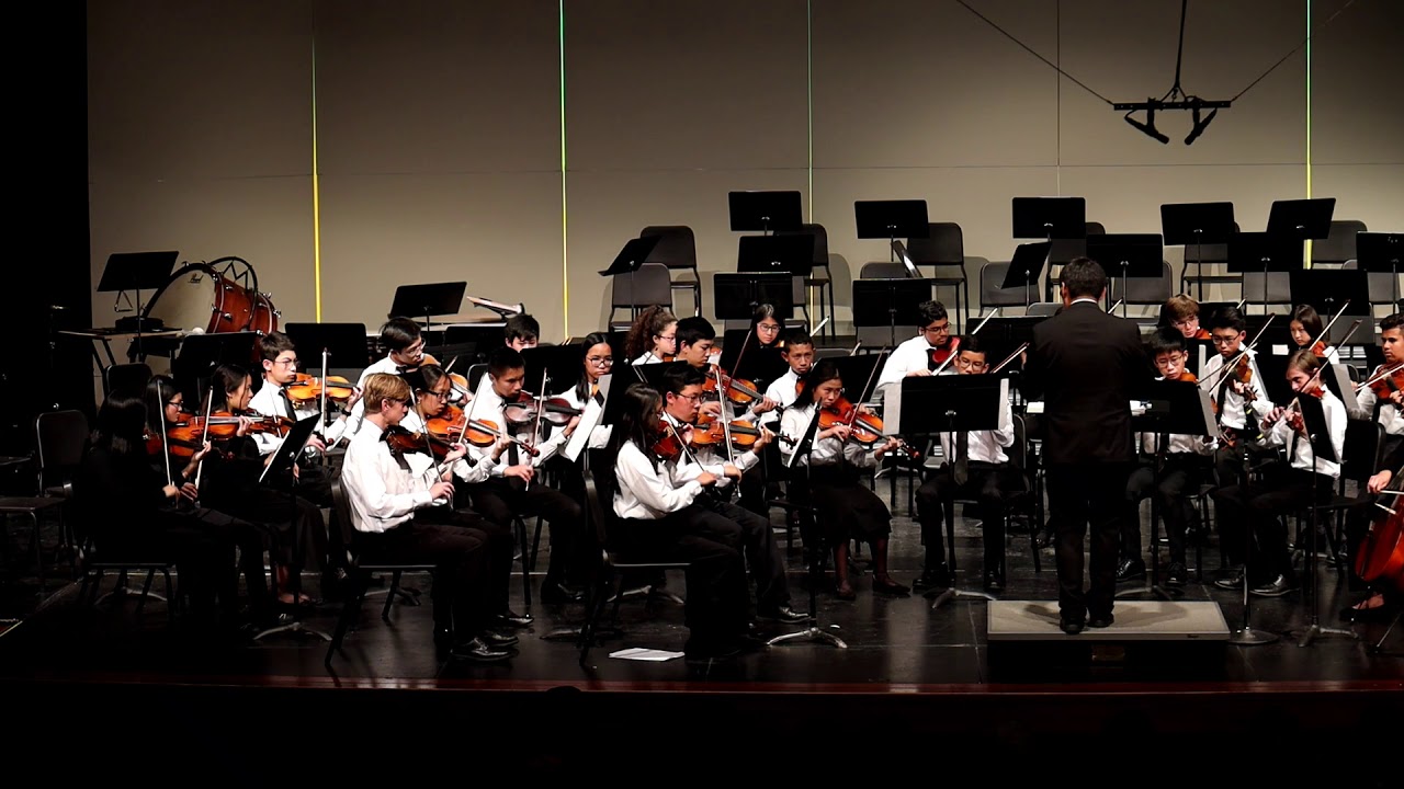 2019 CVHS Winter Concert - Concert Orchestra - Carpe Diem - YouTube