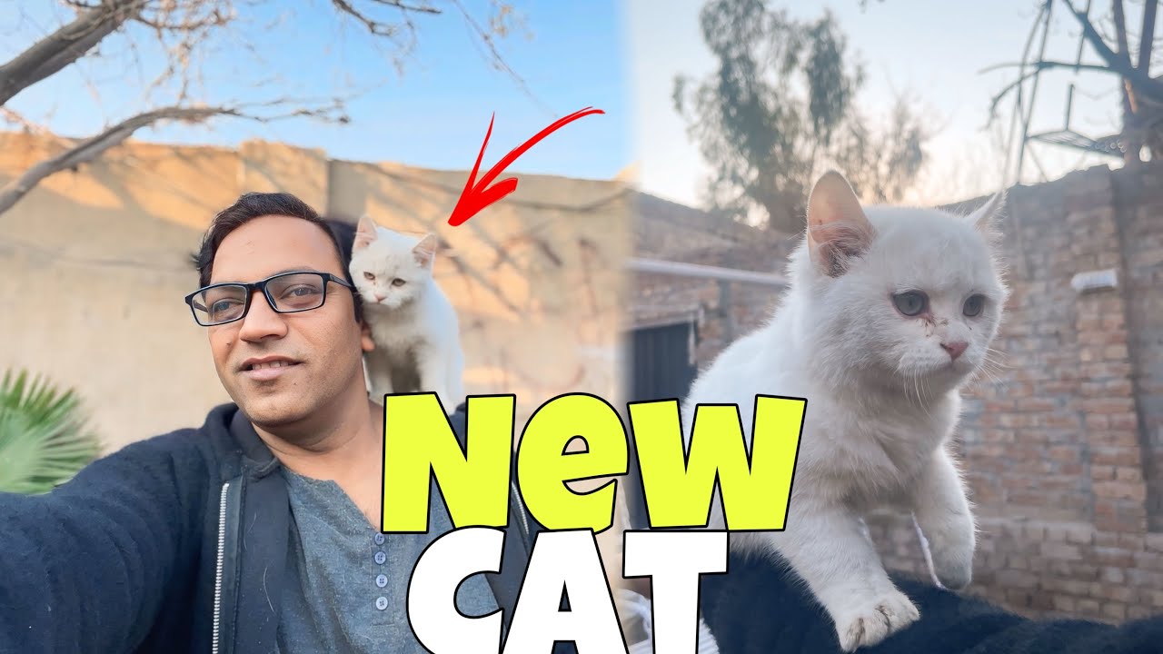 Simba say mulaqat karwa di😍 - YouTube