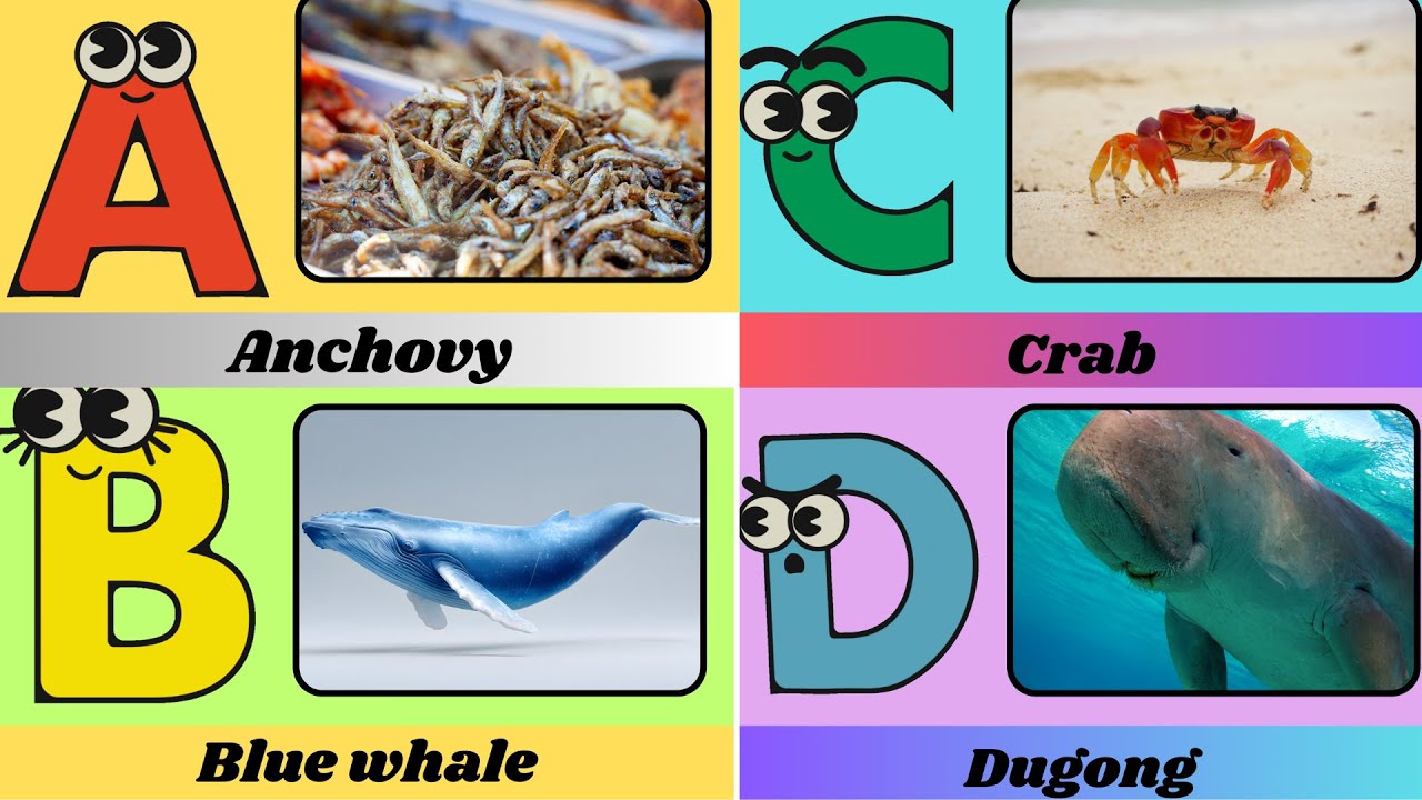 🌊🐠 ABC Rhyming with Sea Animals A to Z! Ocean Friends for Kids 🌈🎶# ...