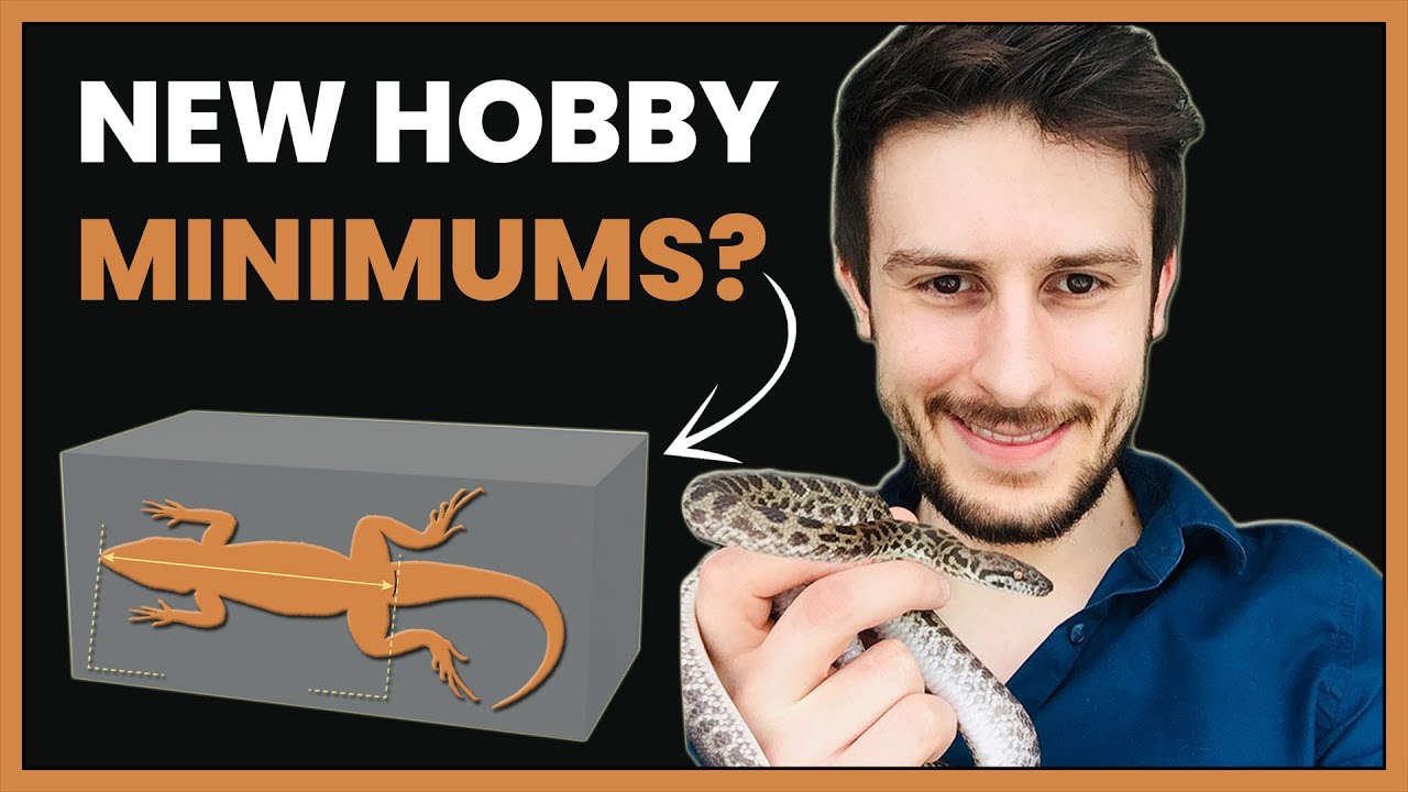 New Minimum Enclosure Size Guidelines Explained! - YouTube