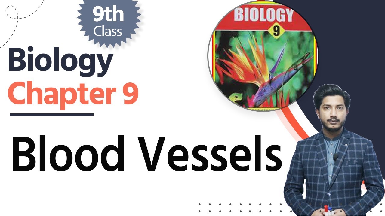 Biology Class 9 Chapter 9 - Class 9 Biology Chapter 9 - 9th Biology ...