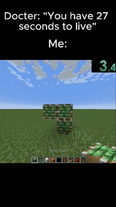 Me when i have 27 secs to Live🚡🚡🚡 #minecraft #minecraftmemes #memes # ...