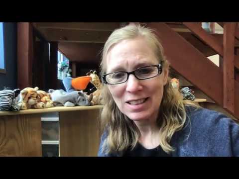 My School's a Zoo! - YouTube