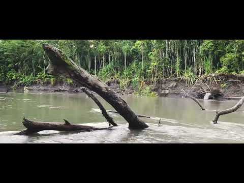 Iphone XR Cinematic HD : Papua