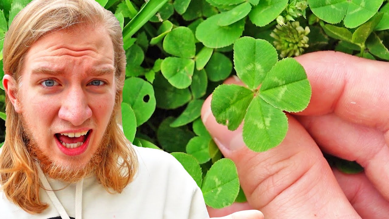 does LUCK really exist? - YouTube