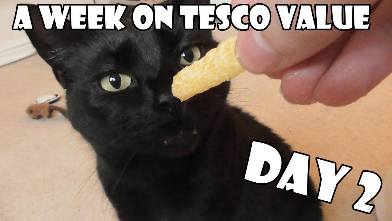 A Week On Tesco Value DAY 2 - YouTube
