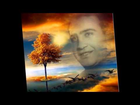 Güner DONAT-Bir Bahane Buluyorsun (MAHUR)R.G.