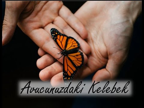 Avucunuzdaki Kelebek
