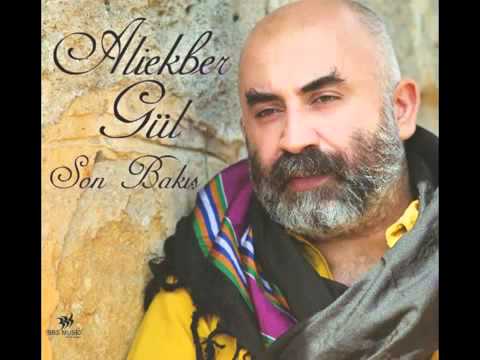 Aliekber Gül - Kışı Erken Geldi